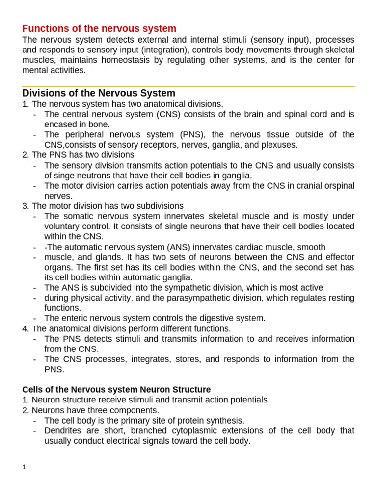 Nervous System | PDF