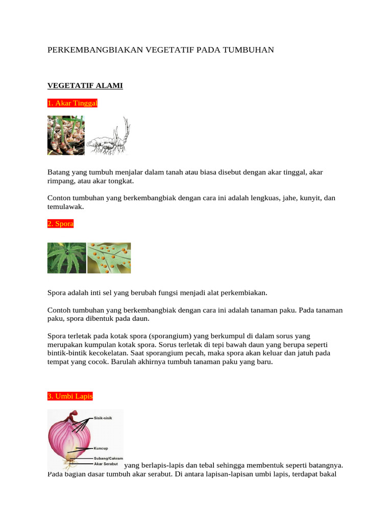 Rangkuman Materi PPKN Kelas 6 Tema 1 Subtema 2 | PDF | Sains & Matematika