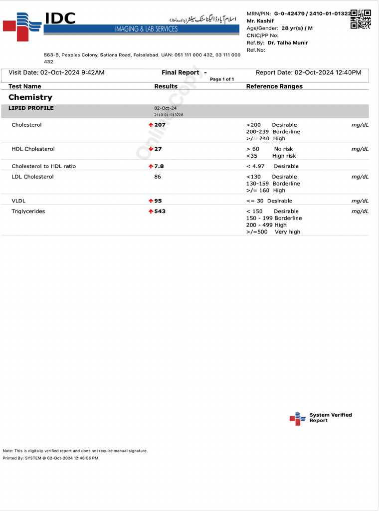 Patient Report PDF | PDF