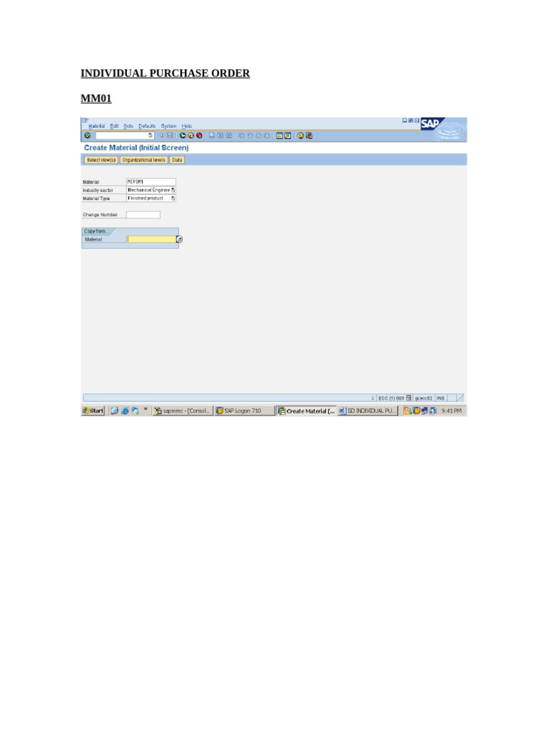 Sd Individual Purchase Order | PDF