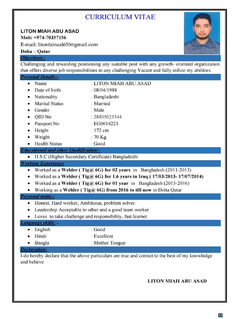 Liton Miah - CV | PDF