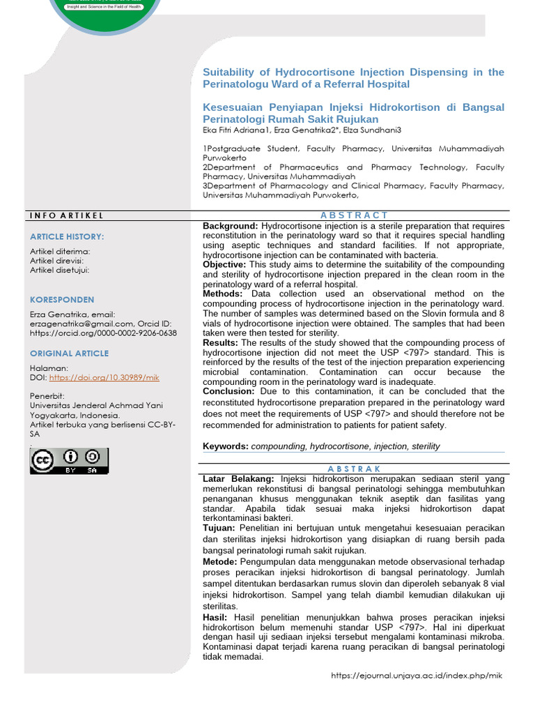 1.TEMPLATE MIK - 2022 - Indonesia | PDF