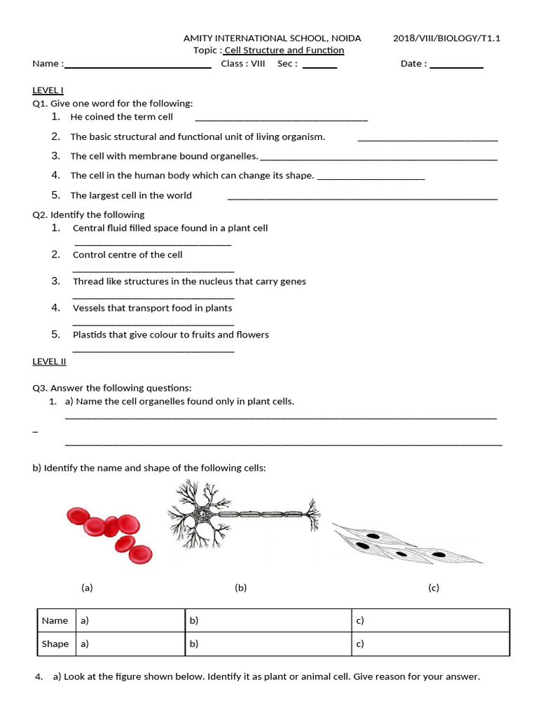 30299 | PDF