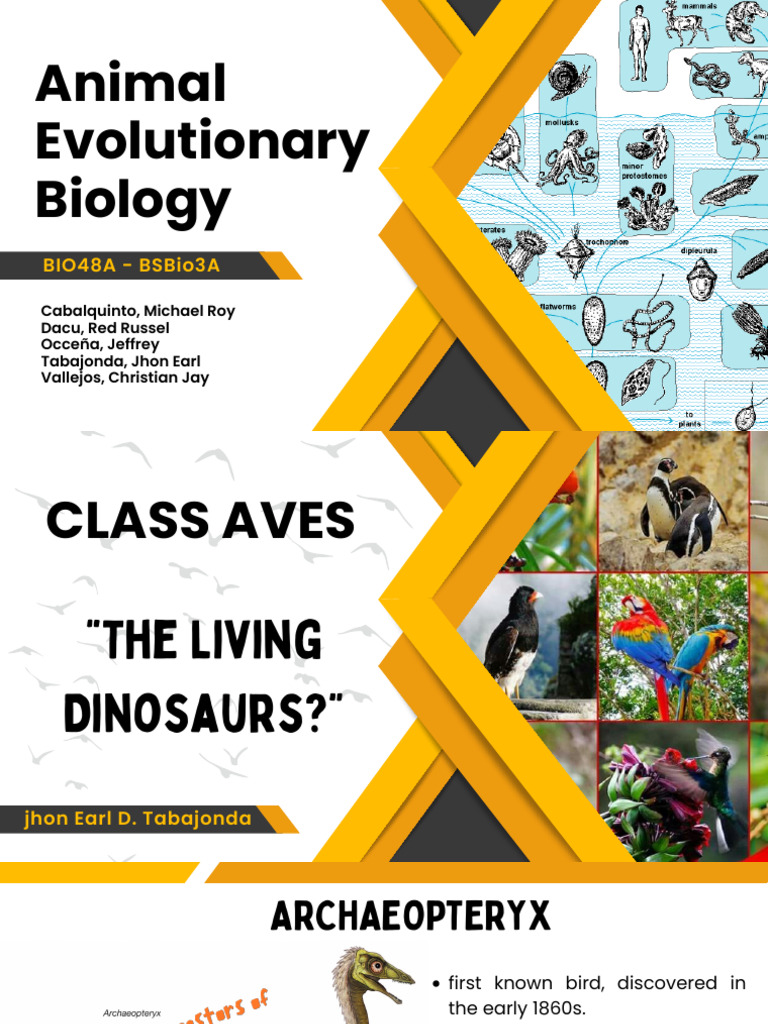 BIO48A Special Topic - Animal Evolutionary Biology | PDF