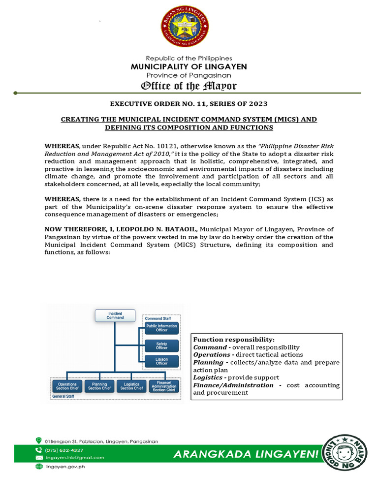 EO 11 LDRRMO MICS Composition and Functions | PDF