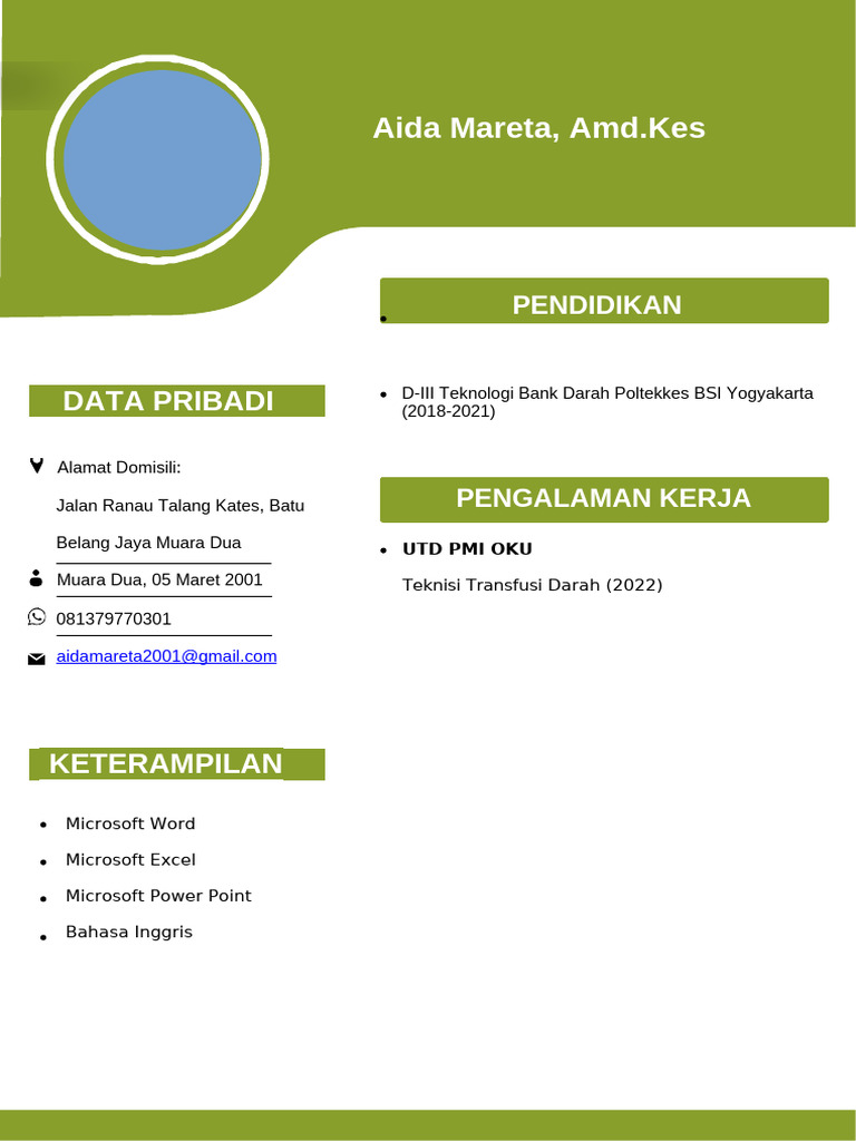 CV_AIDA MARETA | PDF