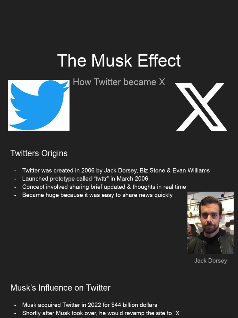 The Musk Effect | PDF | Computers