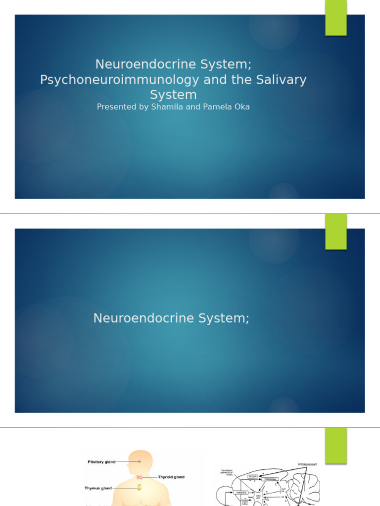 Neuroendocrine System Combined No Sound | PDF | Endocrine System ...