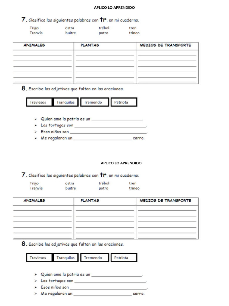 Aplico TR y TL | PDF