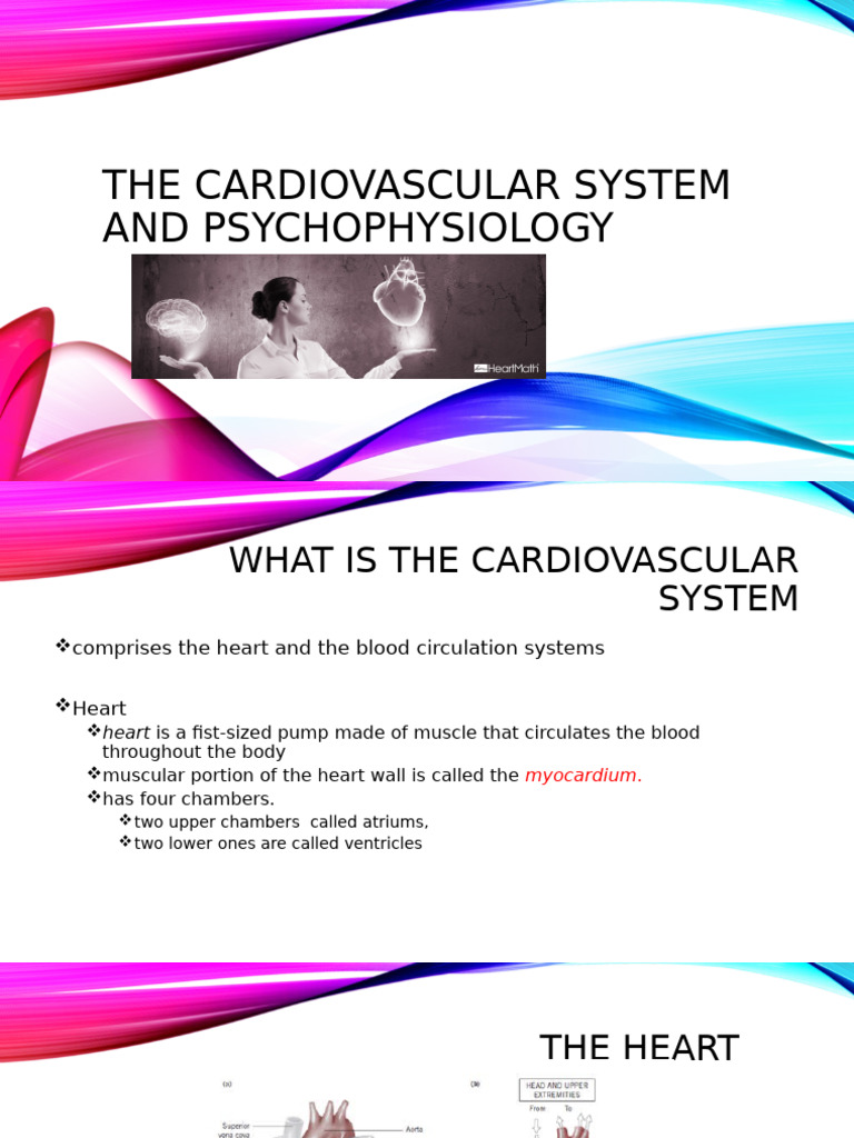 Psychophysiology Presentation | PDF