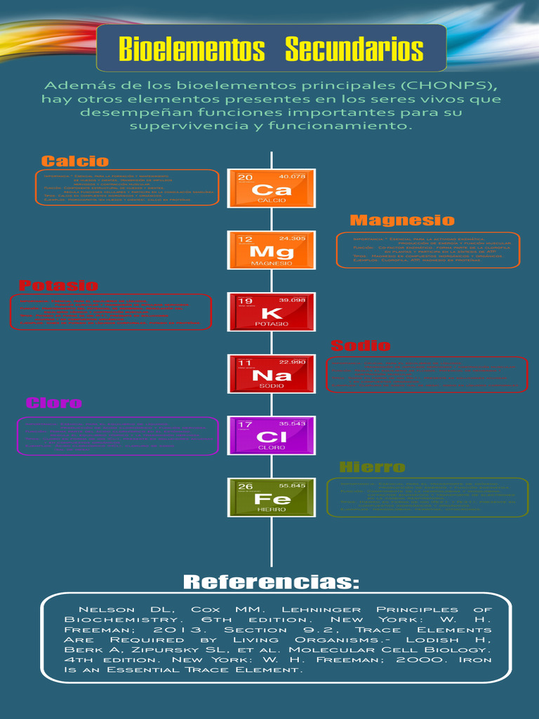 Bioelementos Secundarios | PDF | Calcio | Ácido clorhídrico