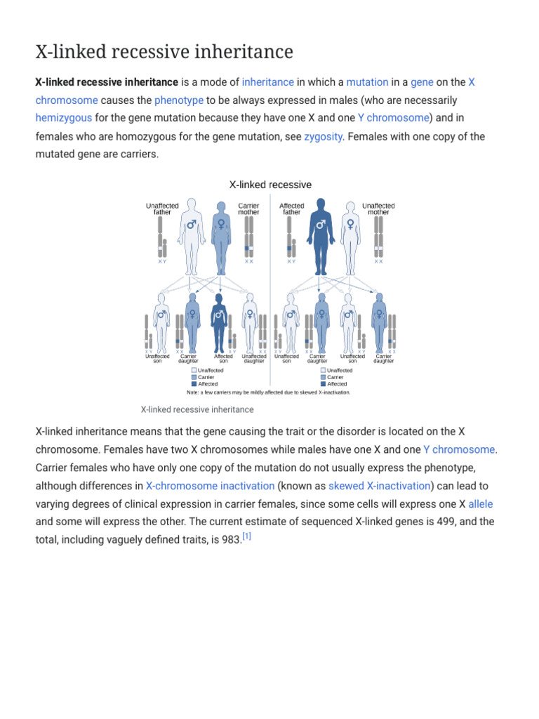 X-Linked Recessive Inheritance - Wikipedia | PDF