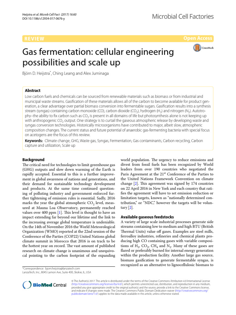 Gas Fermentation: Cellular Engineering Possibilities and Scale Up | PDF