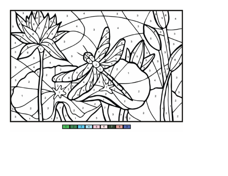 Dragonfly Color by Number Coloring Page | PDF