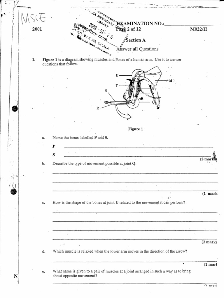 2001msce Bio Paperi | PDF