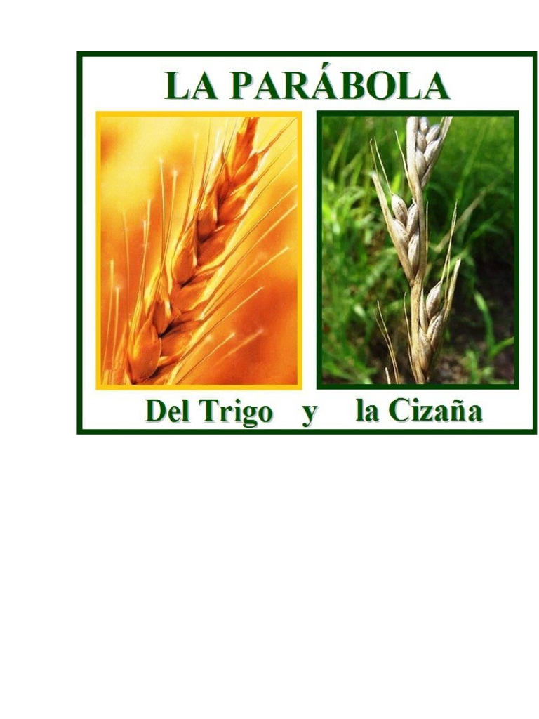 El Trigo y La Sizaña | PDF