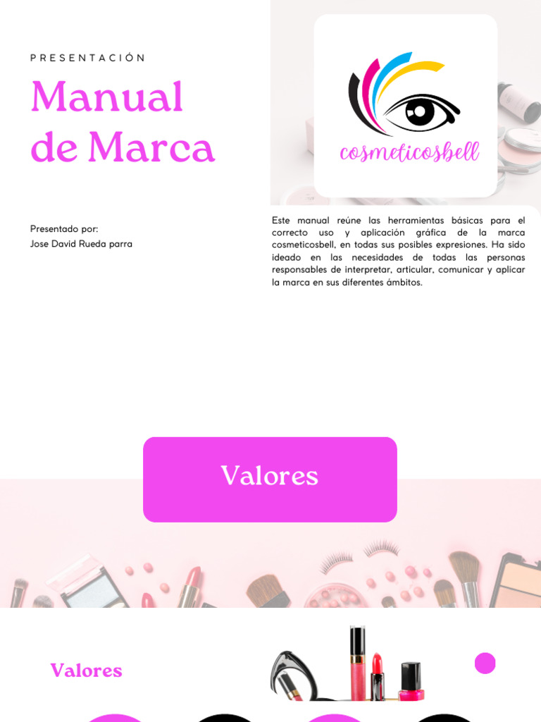 Evidencia Manual Corporativo desarrollo de medios graficos visuales | PDF