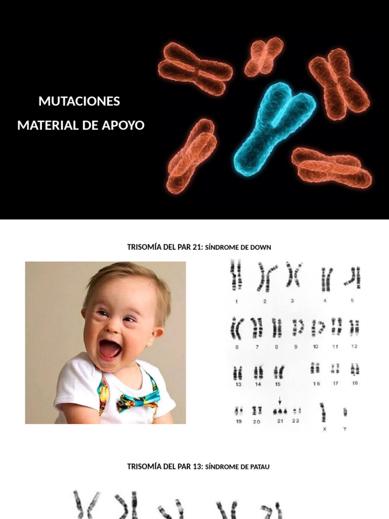 Mutaciones | PDF