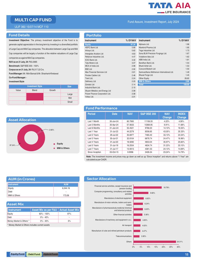 Tata Multi Cap Fund | PDF
