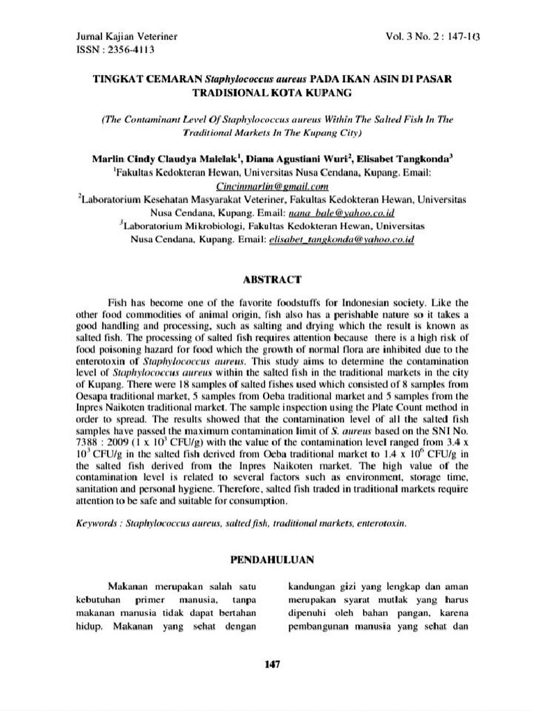 Lampiran MHP Bu Dwi | PDF