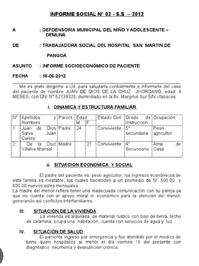 Informe Social | PDF