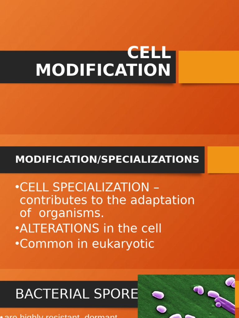 Cell Modification | PDF