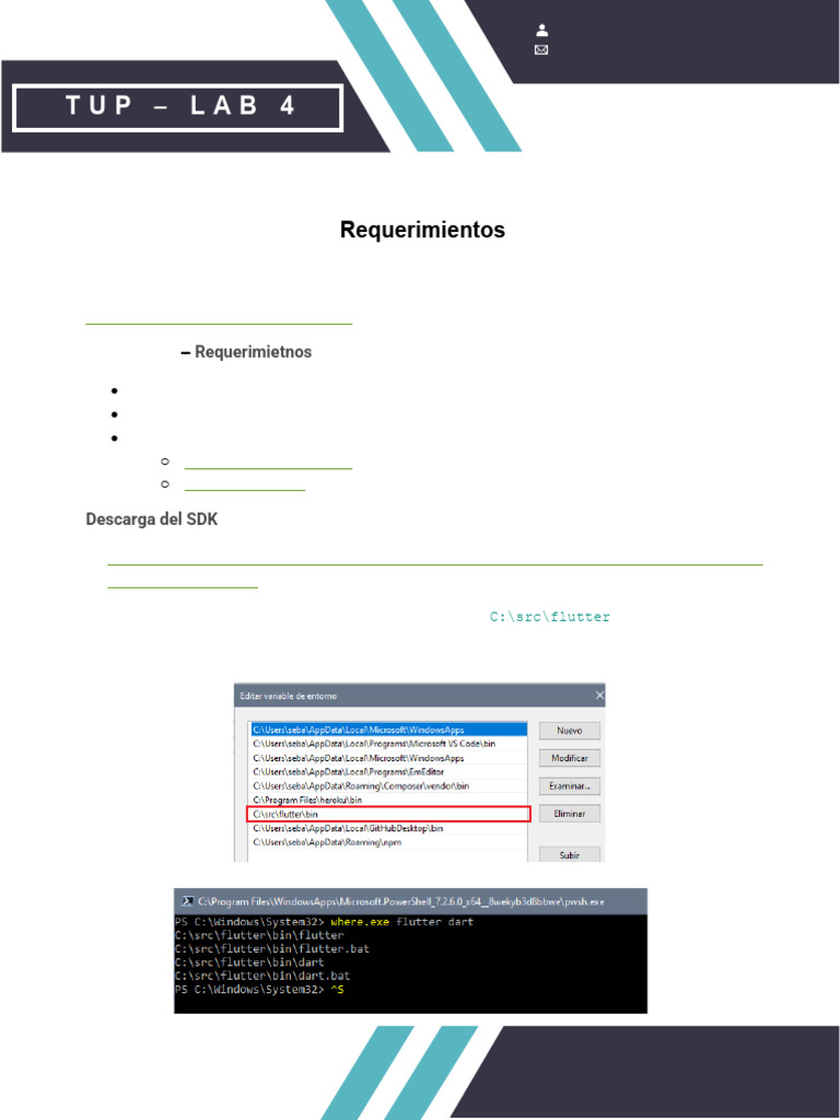 Instalación Flutter-Dart | PDF