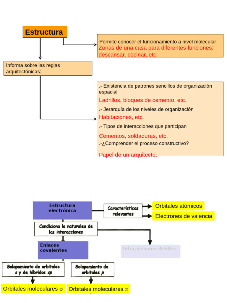 Tema 1 Bioquímica Estructural | PDF