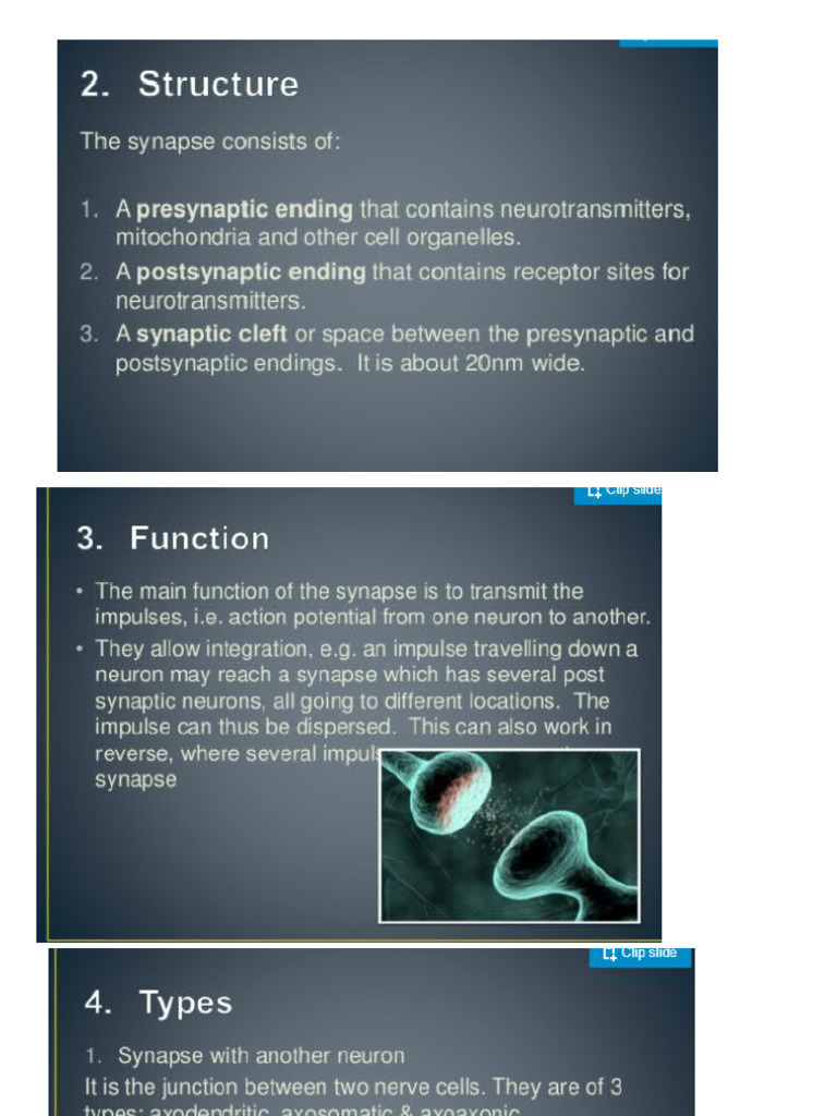 BS 6 Animal Physiology 1 Lecture | PDF