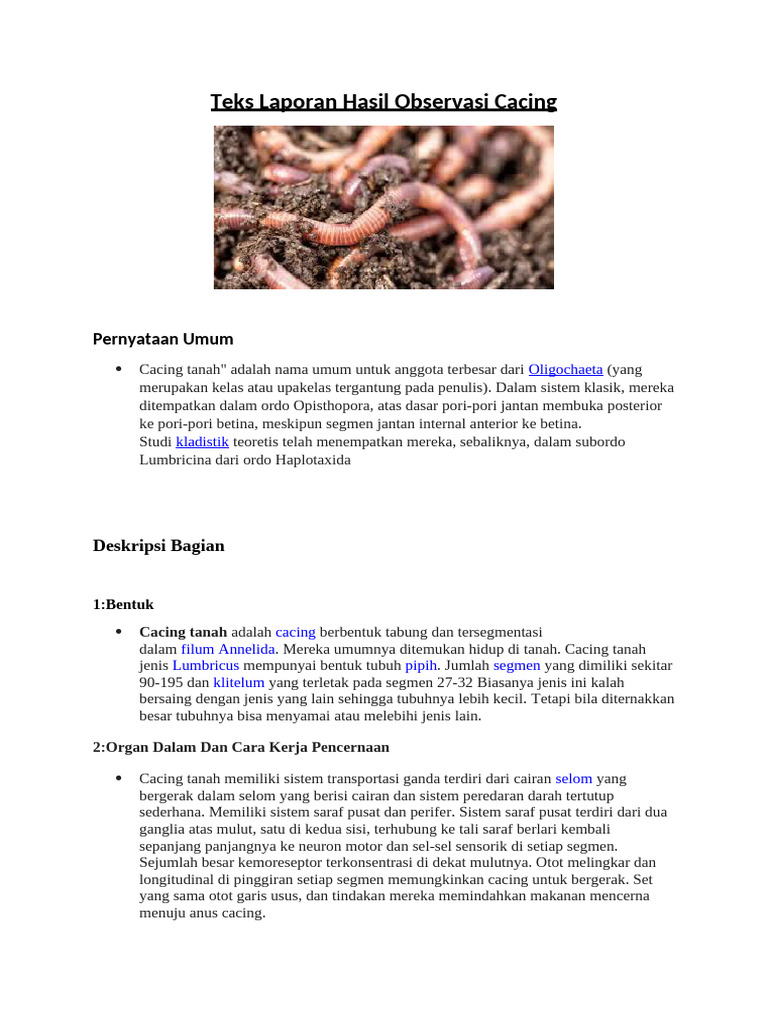 Teks Laporan Hasil Observasi Cacing | PDF