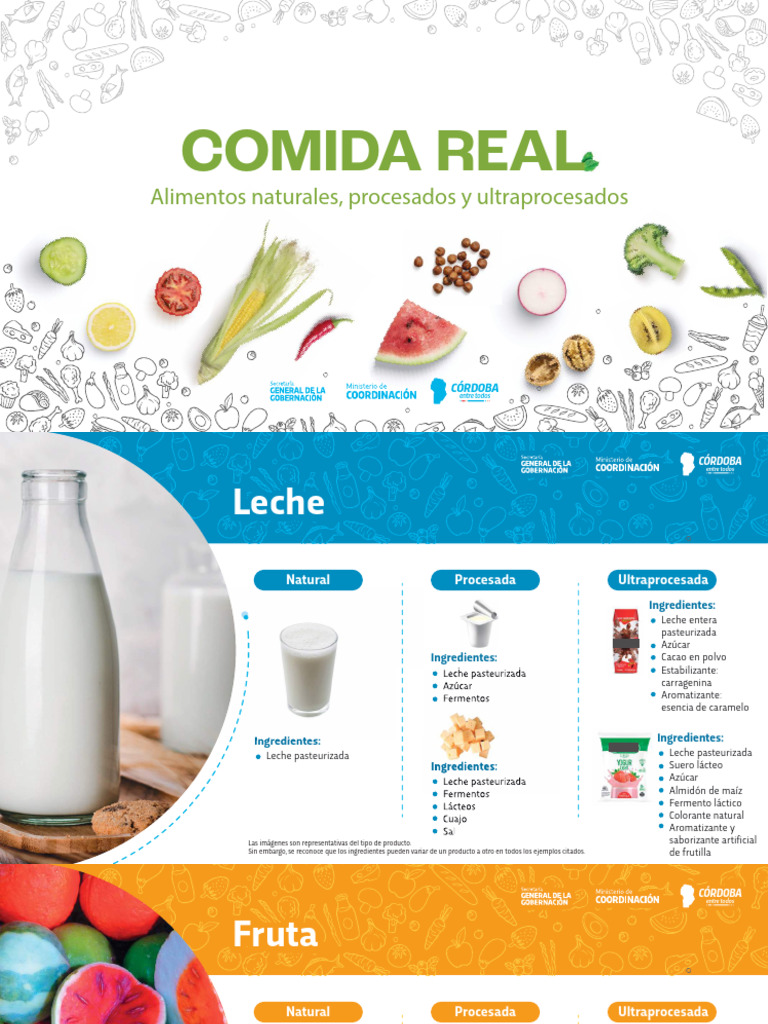 ELS Comida Real Procesada Ultraprocesada | PDF