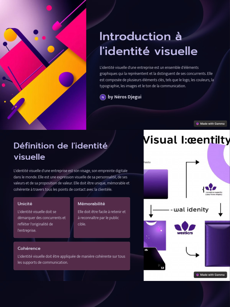 Introduction A Lidentite Visuelle | PDF
