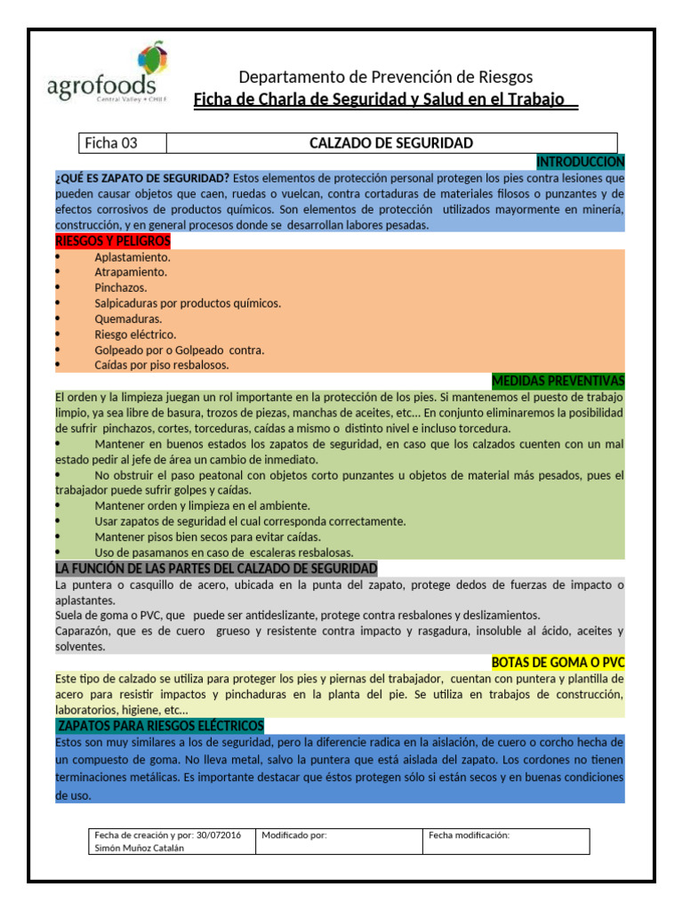 Ficha 03 - Calzado de Seguridad | PDF