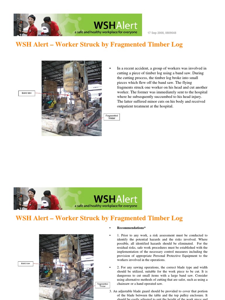 WSH Alert 1 | PDF | Occupational Safety And Health | Lumber