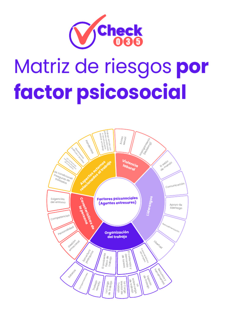Matriz de Riesgos Por Factor Psicosocial | PDF | Estrés (biología) | Burnout ocupacional