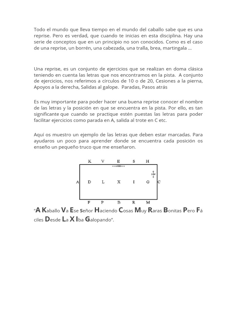 Apuntes Caballo Pdf