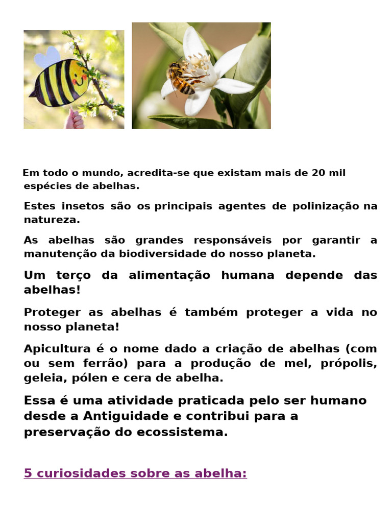 Abelhas | PDF