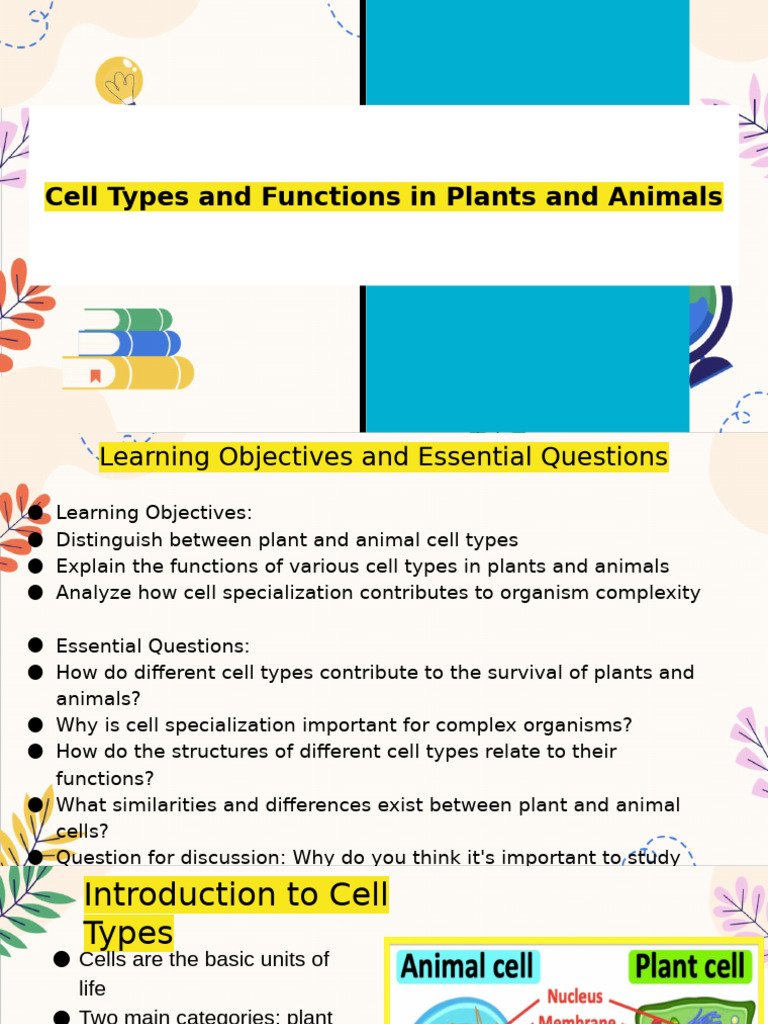 Cell Types and Cell Modification | PDF | Connective Tissue | Bone