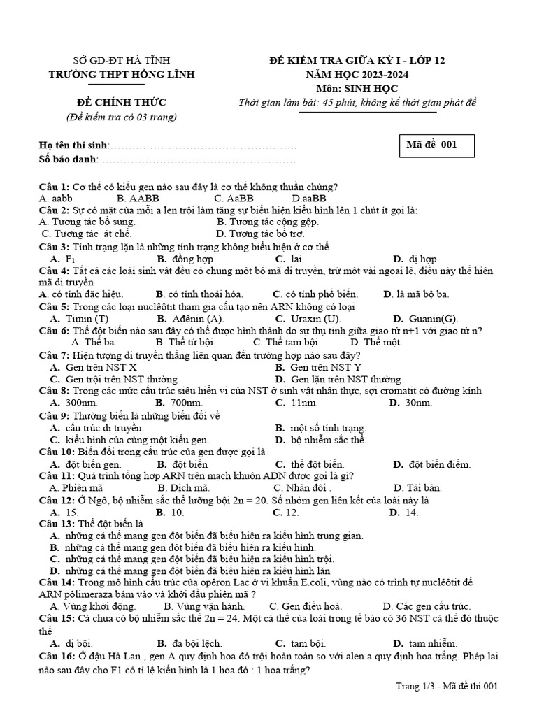 ĐỀ GKI HÀ TĨNH - HỒNG LĨNH | PDF