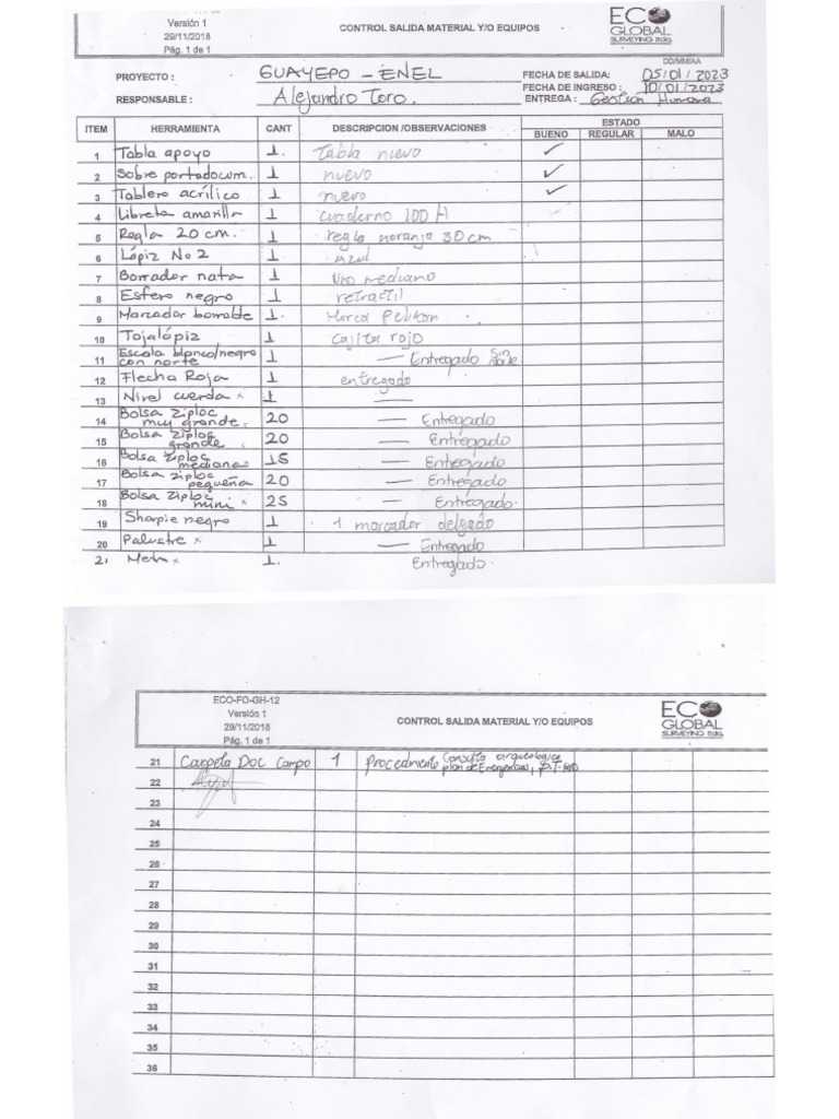 Alejandro Toro | PDF