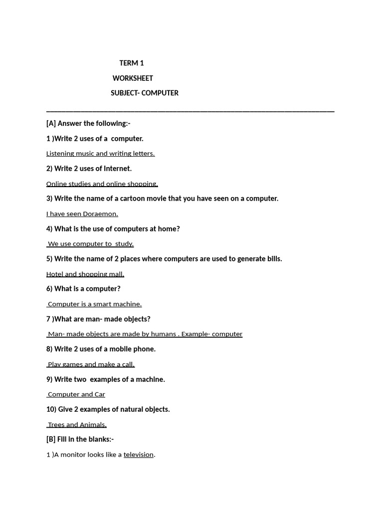 Term1 Computer Class1 Worksheet | PDF