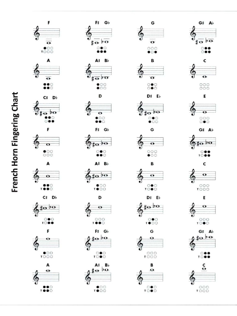 Posizioni Corno Francese | PDF