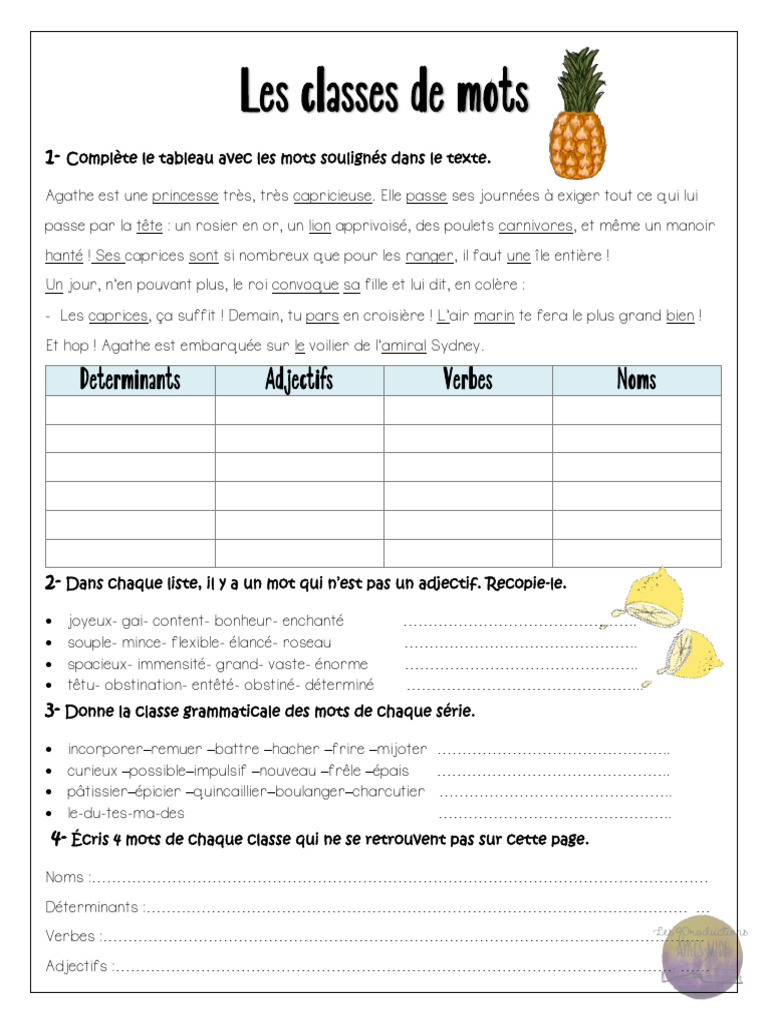 Révision Des Classes de Mots | PDF