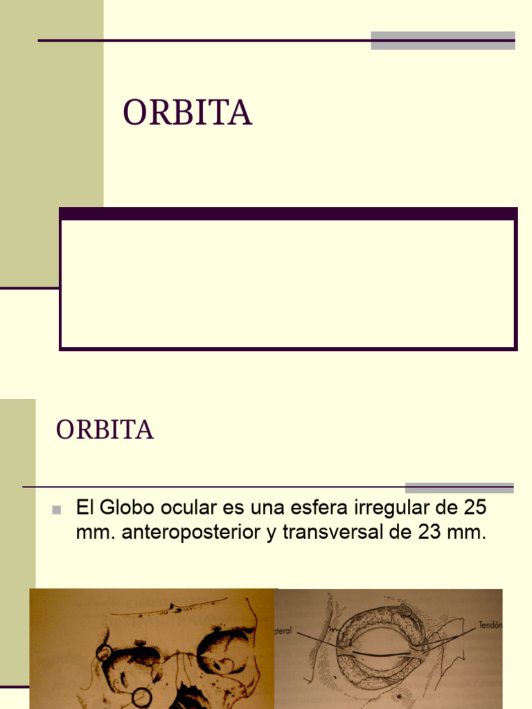 ORBITA | PDF