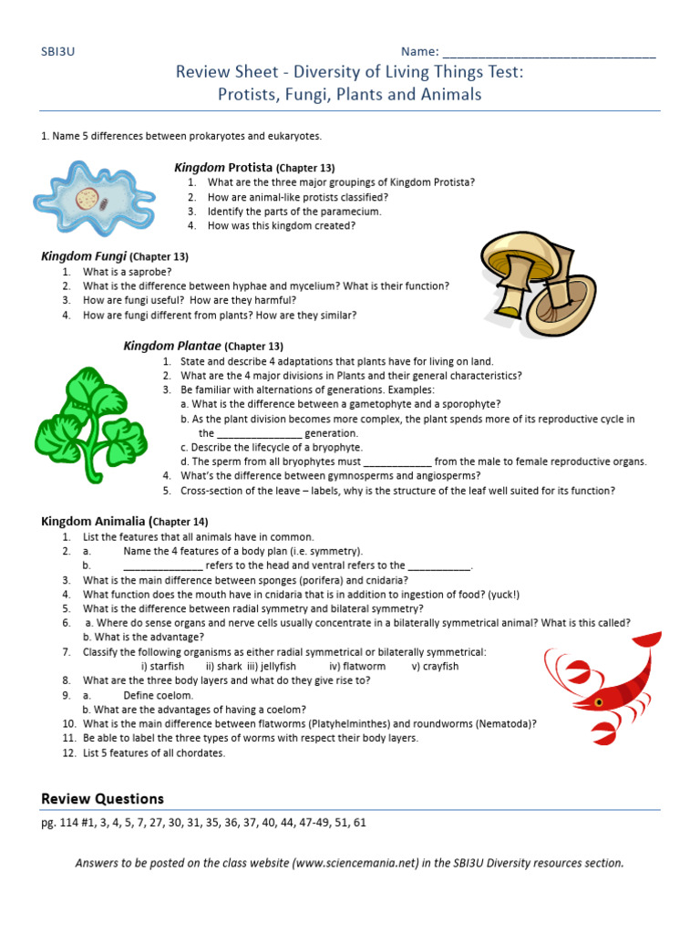 3U Diversity Test 1 Review2 | PDF