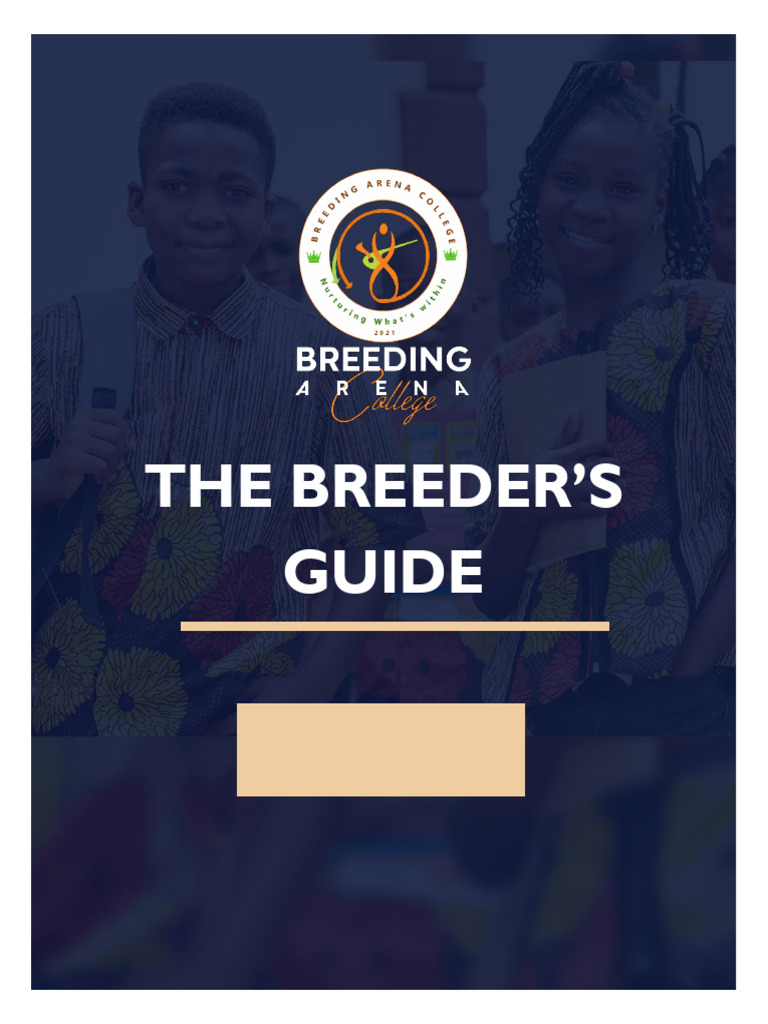 Mathematics Year 7 Outline | PDF