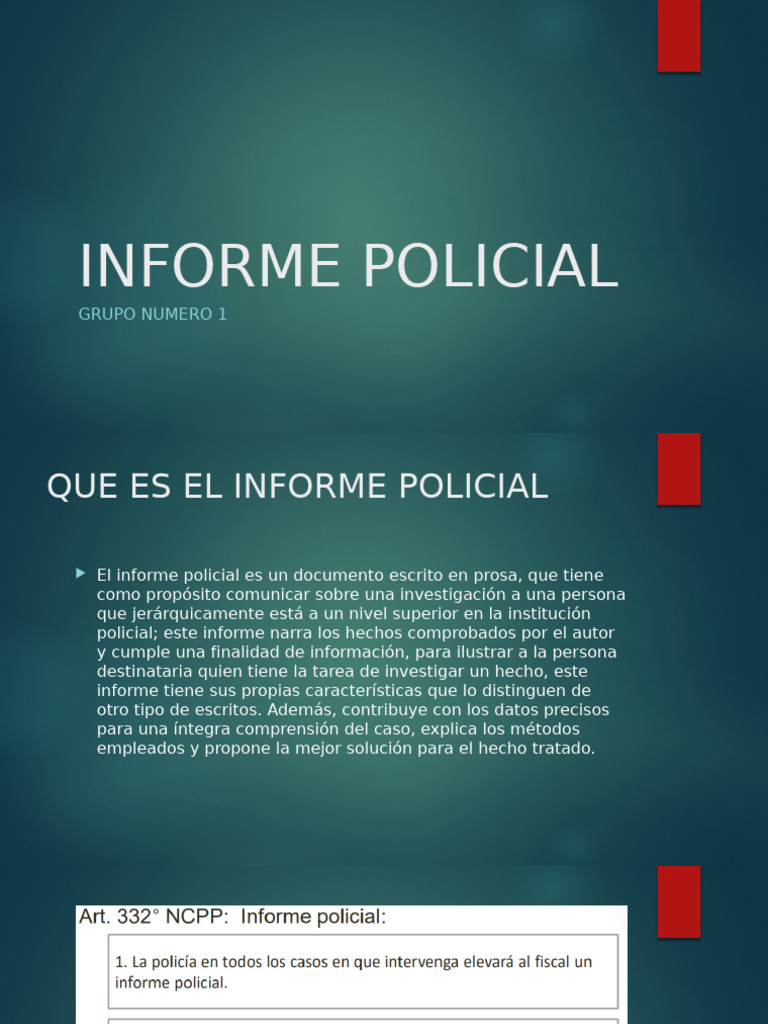 Informe Policial | PDF
