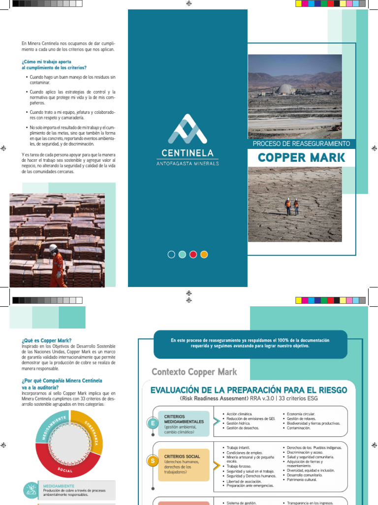 Triptico Copper Mark 2024-V2-Imprenta | PDF