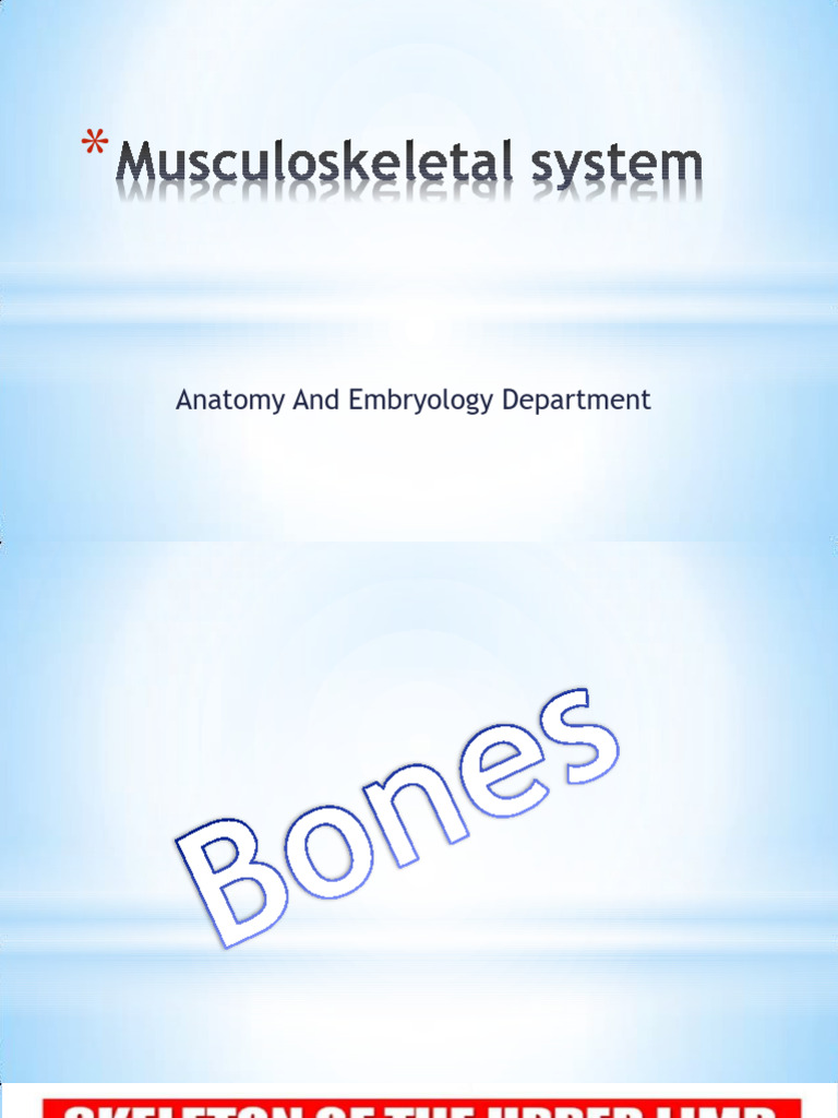 Musculoskeletal System | PDF
