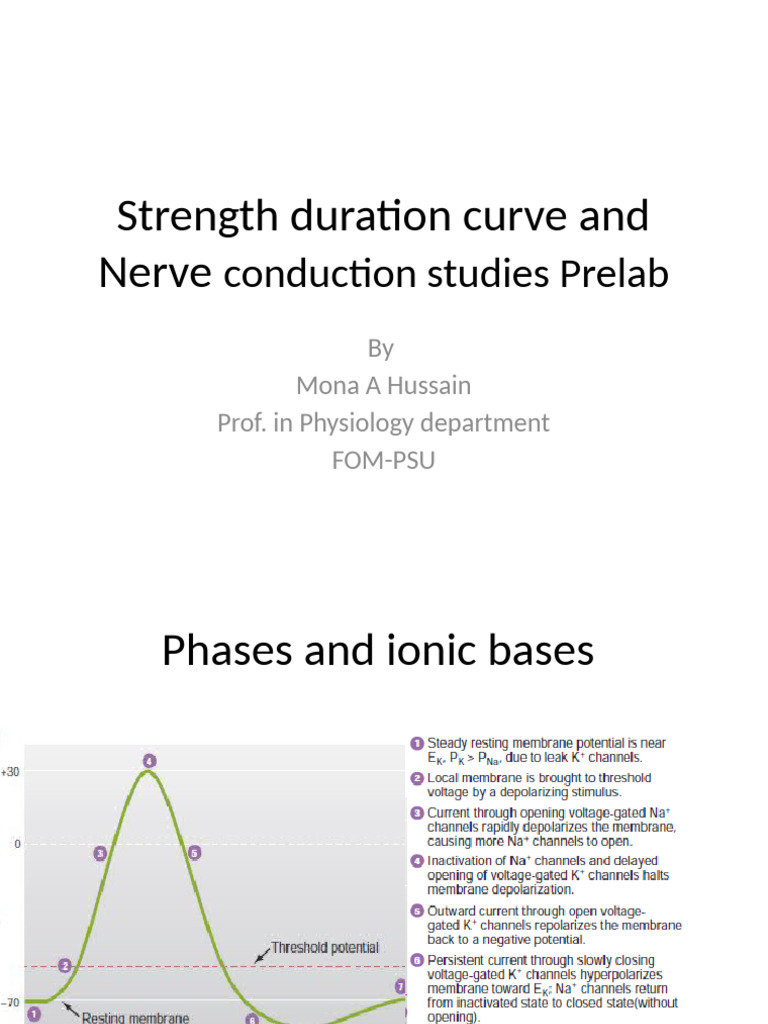 nerve conduction studies | PDF